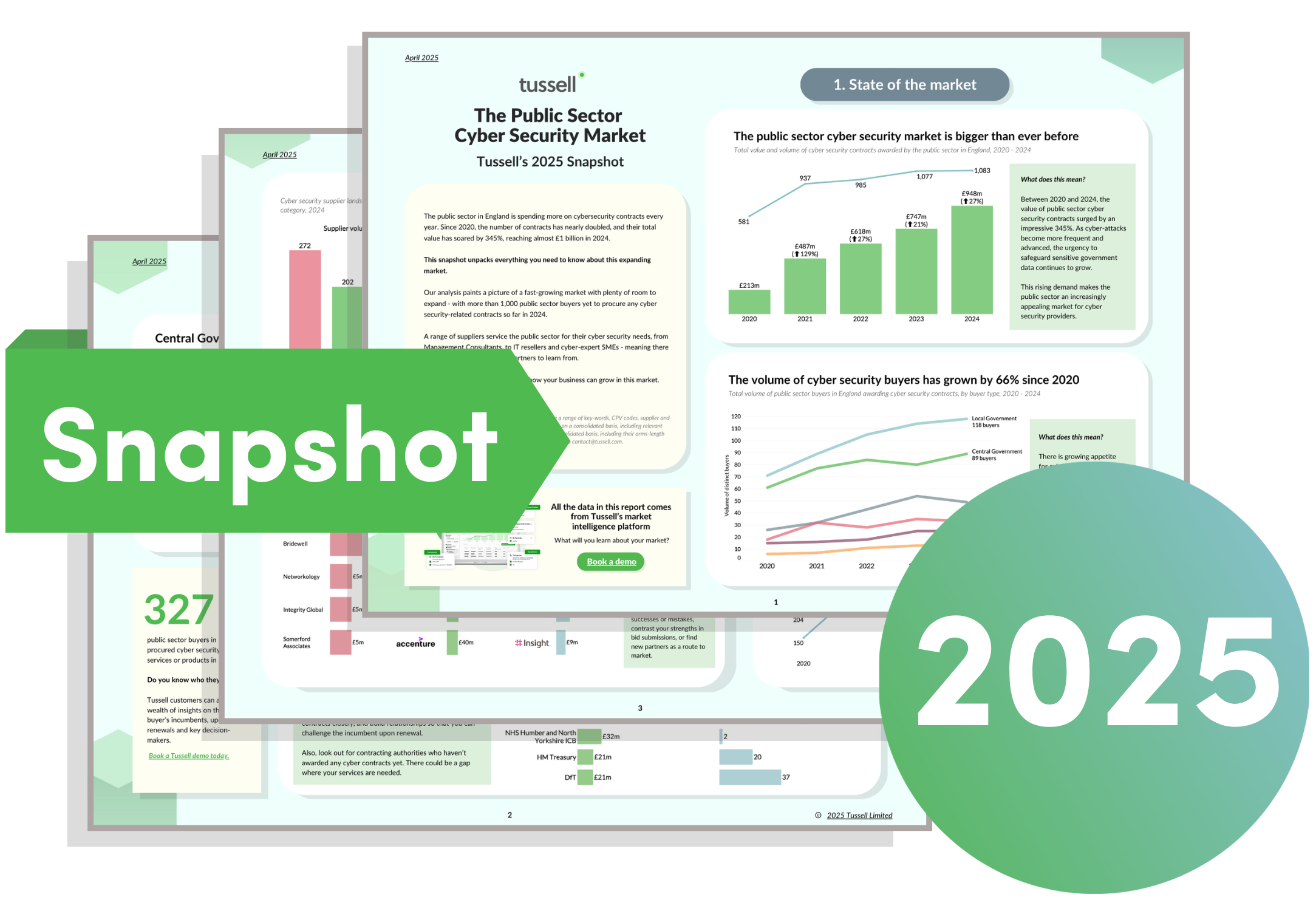 Public Sector Cyber Security Market: 2025 Snapshot